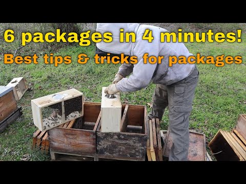 🔵How to Install a Package bees using 2 Methods! PLUS tips & tricks to keep them healthy & alive