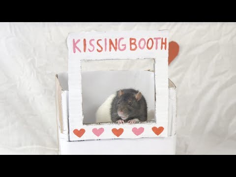 Audubon Zoo Animals Celebrate Valentine's Day