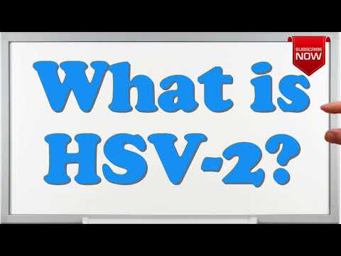 What is the full form of HSV-2?