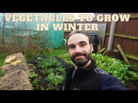 10 hardy crops to grow in Winter in cold climates | Frost hardy | Winter hardy | Allotment | Garden