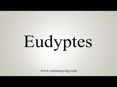 How To Say Eudyptes