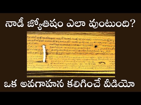 నాడీ జ్యోతిషం వైథీశ్వరన్ కోయిల్ ! Nadi Astrology In Vaitheeswaran Koil ! కుజుడు ఆలయం