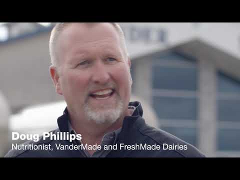 Dairy Cattle Nutrition: Going Beyond the Feed Bunk