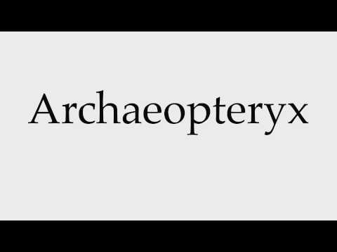 How to Pronounce Archaeopteryx