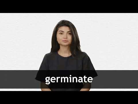 GERMINATE definition and meaning | Collins English Dictionary
