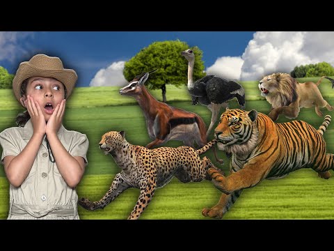 World's Fastest animals on land for kids | educational wild animal video for kids by Atrin and Soren