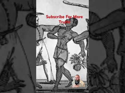 ALL Southern Whites Supported Slavery #history #amercia #war #usa #blm #civilwar #politics