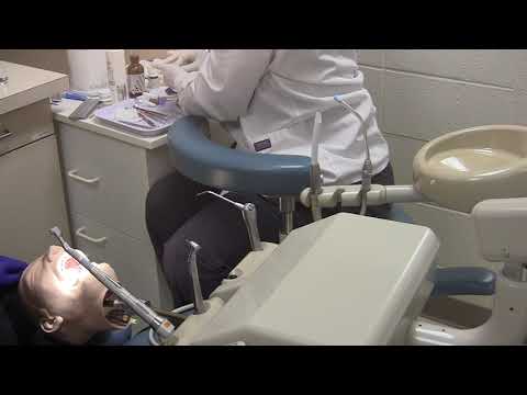 Crown and Bridge Procedure