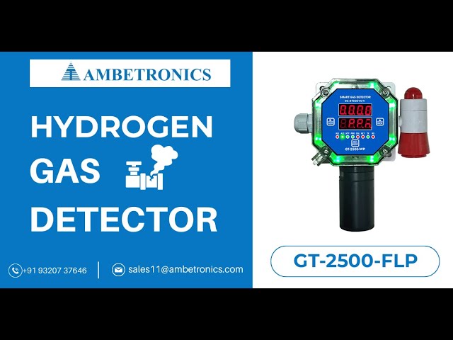 Gas Transmitters - Smart Gas Transmitter Combustible Weatherproof - GT ...