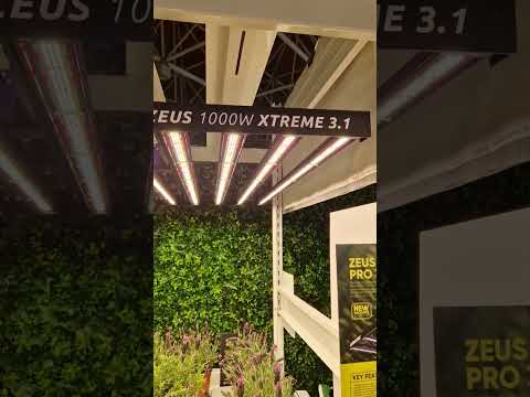 Two new @LumatekLighting models at Spannabis. The new 465w 3.1 and 1,000w 3.1