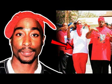The Story Of The Bloods