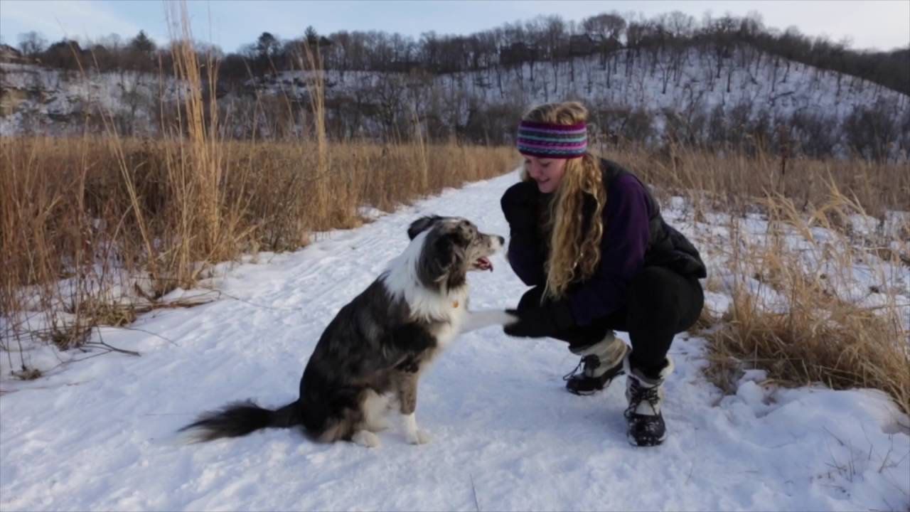 Decorah Parks and Recreation