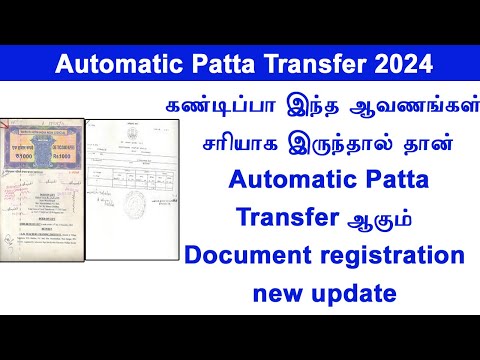 Patta auto name transfer rules 2024 Patta transfer online patta online 2024 #patta #saledeed