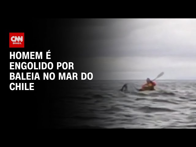 Vídeo: Baleia “engole“ homem que andava de caiaque no Chile | CNN Brasil