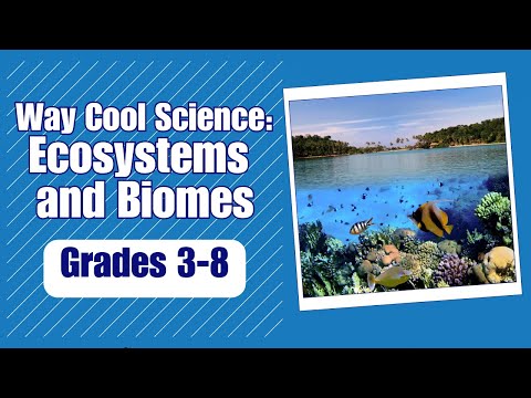 What are Ecosystems and Biomes - More Way Cool Science on Harmony Square