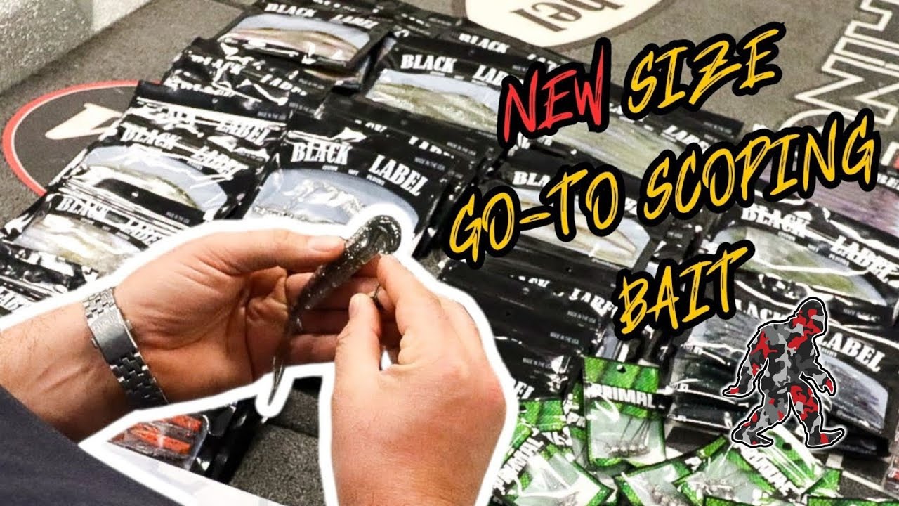 My NEW (size) Go-To Scoping Bait from Black Label Tackle