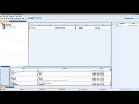 14 Managing Synonyms in IBM SPSS Modeler