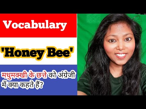vocabulary related to 'Honey Bee' | Advanced English Practice - 17 #shorts
