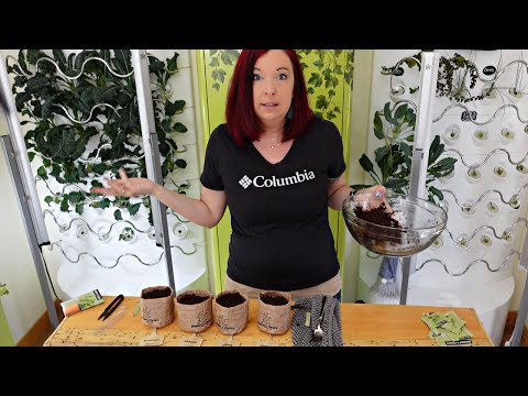 I BOUGHT A $25 HERB KIT FROM AMAZON - WORTH IT???