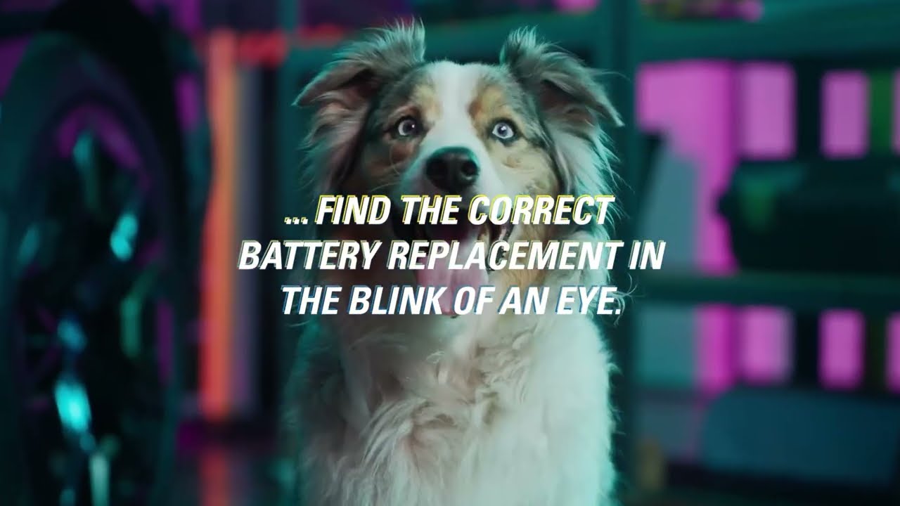 VARTA Workshop - Battery Finder