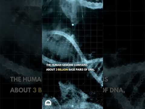 Molecule of Life | DNA | #biology #science #dna #genetics