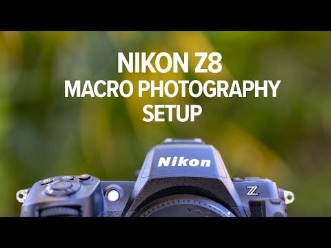 Nikon Z8: Macro photography settings (1695)