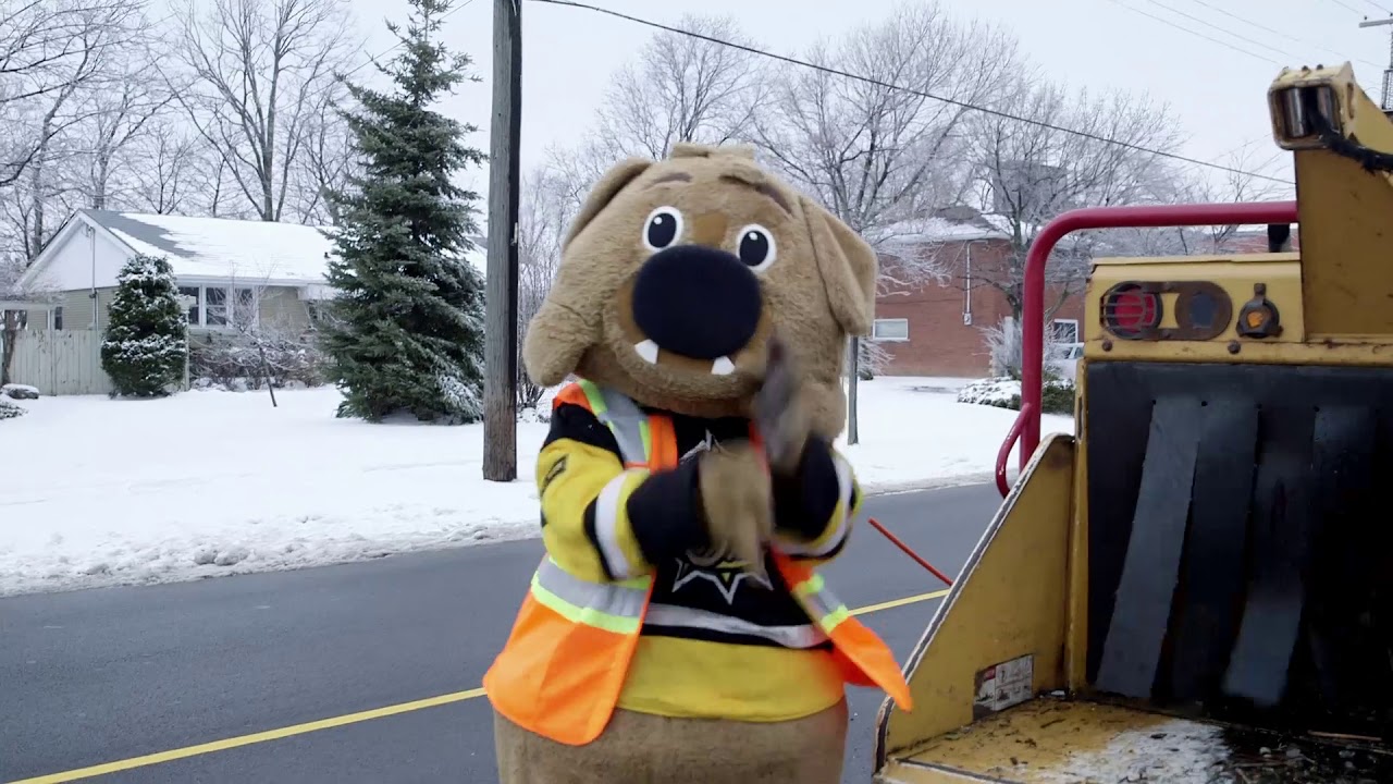 Bruiser + Public Works (Forestry)