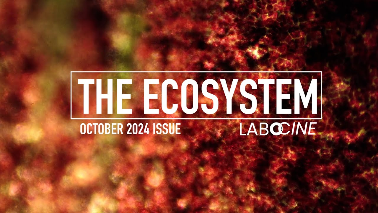 THE ECOSYSTEM- Labocine October 2024 Issue Trailer