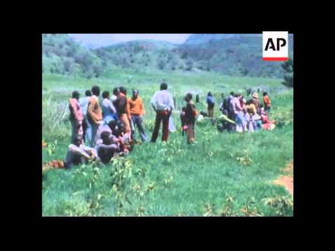 SYND 22 4 1981