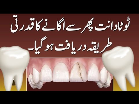 How to regrow your teeth naturally with a Japanese recearch medicine.