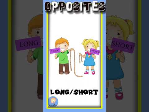 Opposites for Kids | Antonyms #talkingflashcards