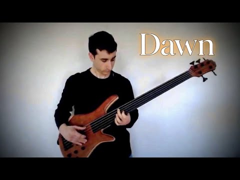 Zon Sonus Custom Fretless 6 String Bass | Reverb