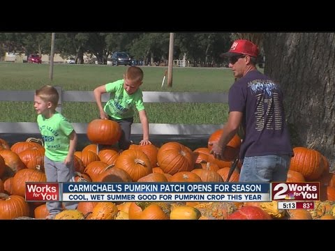 Green Country pumpkin patches see big crowds, bountiful pumpkin crop ahead of Halloween