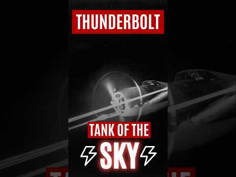The Tank of the Sky | P-47 Thunderbolt!