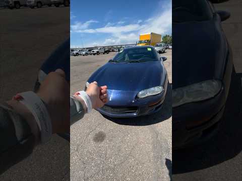 Rare Auction Find