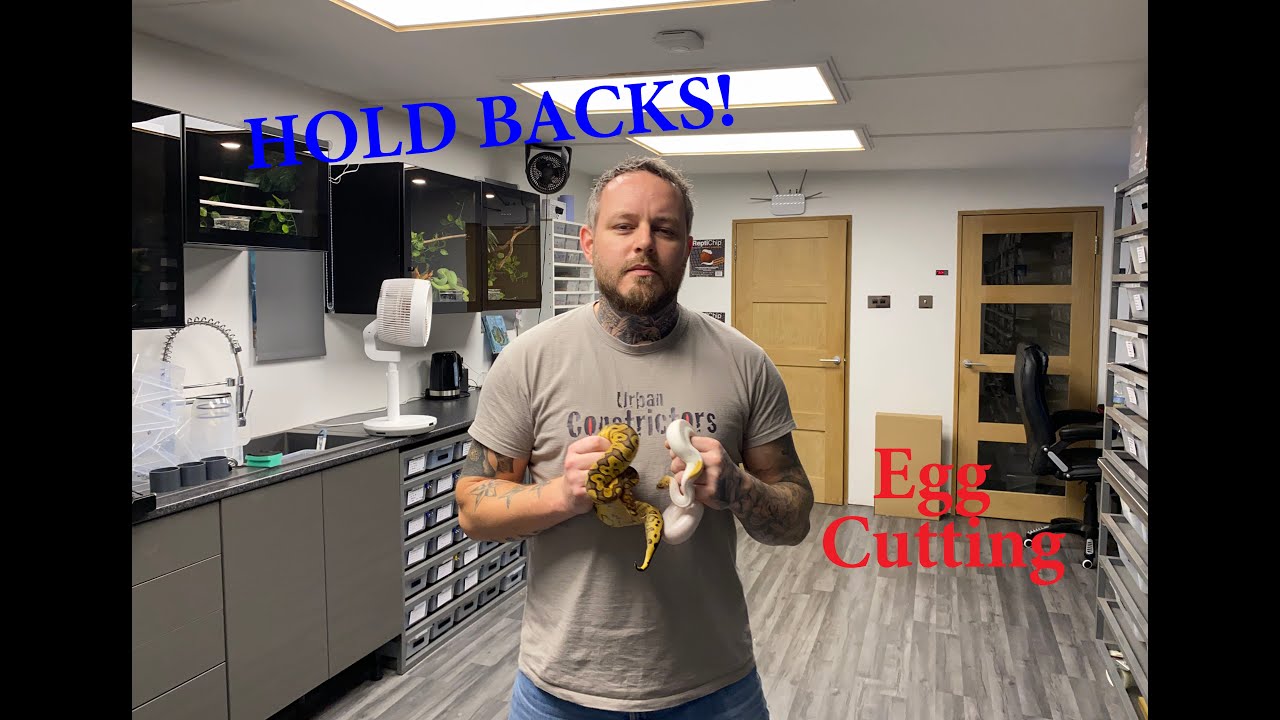 Some 2020 Holdbacks and Killer egg Cutting!!
