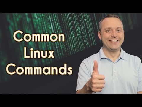 Linux Commands I Use All the Time
