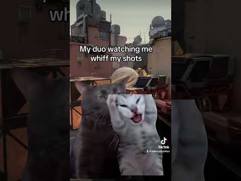 Stop looking 🫠🫠🫠 #funny #cats #meme #viral #cs2 #valorant #gaming #lol