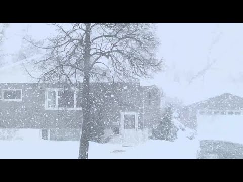 Bismarck Blizzard Babies | Sanford Health News