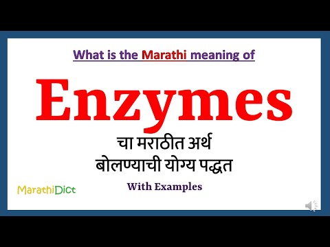 Enzymes Meaning in Marathi | Enzymes म्हणजे काय | Enzymes in Marathi Dictionary |