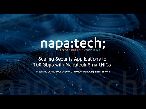Long form: Scaling Security Applications to 100 Gbps with Napatech SmartNICs