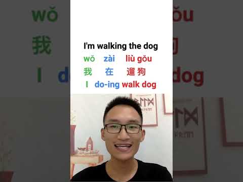 How to say 'I'm walking the dog' In Mandarin