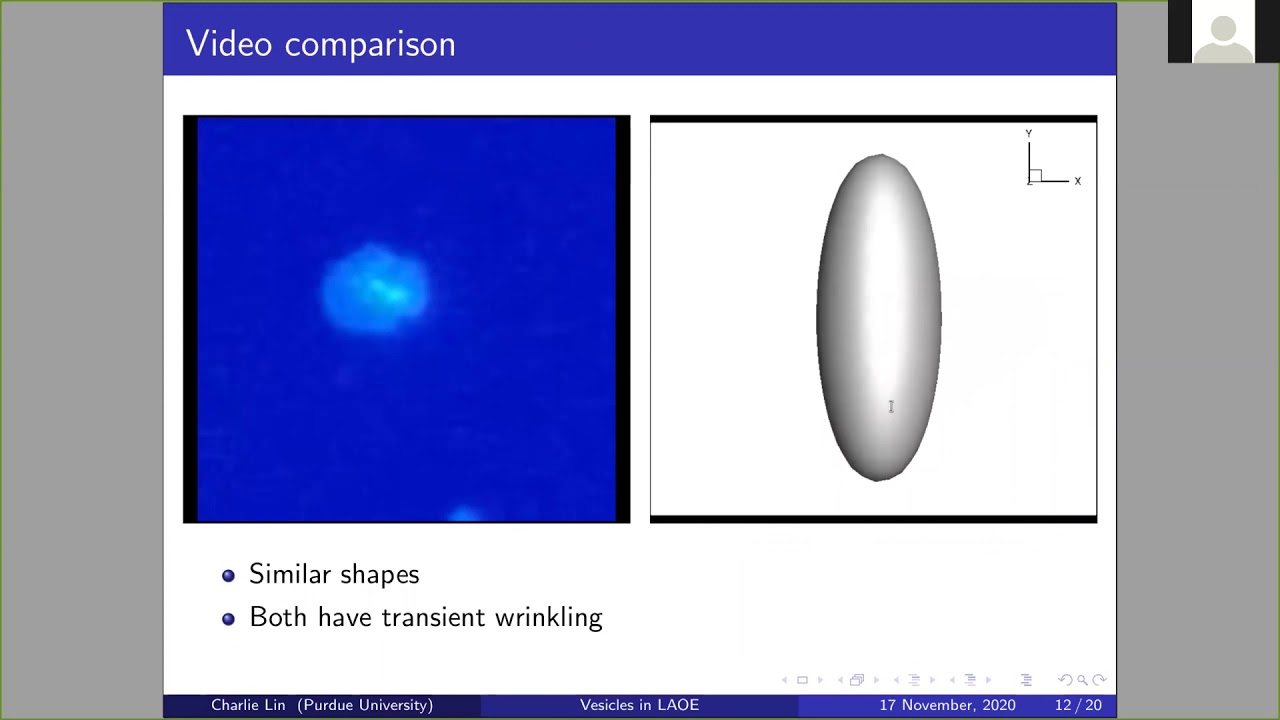 AIChE2020 - Vesicles in LAOE