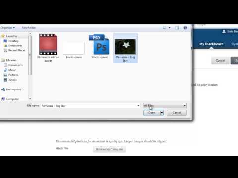 Adding an Avatar to Your Blackboard 9.1 Profile