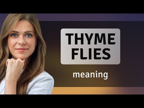 Unraveling the Wit in "Thyme Flies": A Dive into English Puns