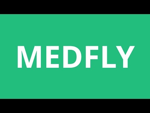 How To Pronounce Medfly - Pronunciation Academy