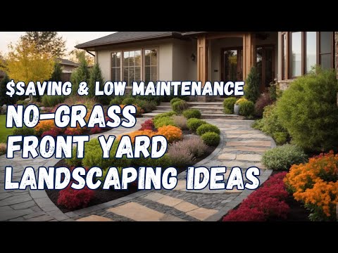No Grass Front Yard Landscaping | $ Saving Landscaping Ideas | All Season Landscaping Ideas