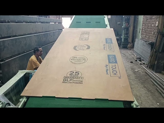 Plywood Loading Conveyor Manufacturer from Ahmedabad