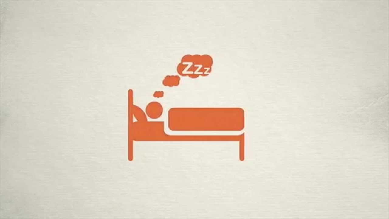 Daily Routine - Picture Vocabulary