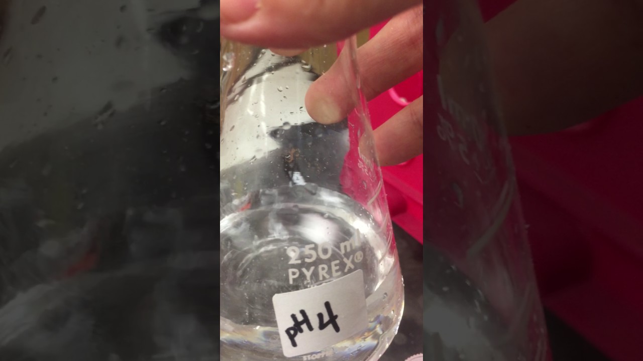 making ph 4 & 7 buffer solution